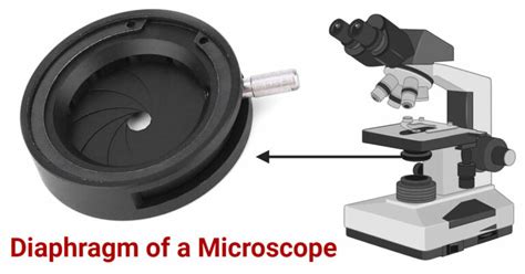 Microscope Diaphragm Types Functions Adjustment Tips