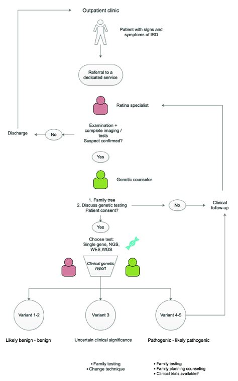 Flowchart With Suggested Patient Pathway Download Scientific Diagram