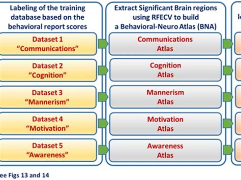 a personalized classification of behavioral severity of autism spectrum