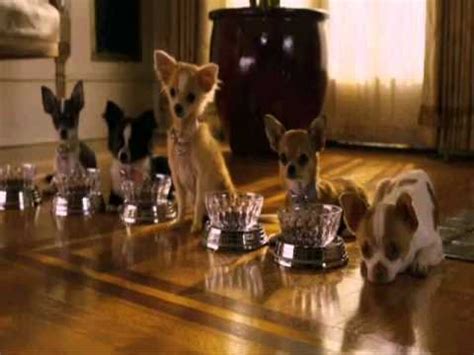Beverly Hills Chihuahua 2 Trailer Youtube