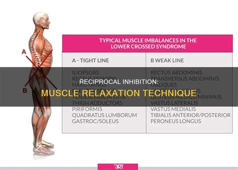 Reciprocal Inhibition Muscle Relaxation Technique Cyvigor