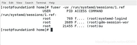 查看进程使用的文件（命令：fuser、lsof、pidof）fuser命令详解 Csdn博客