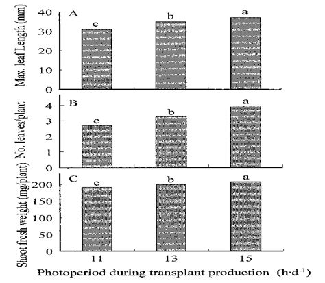 Effects Of Photoperiod During Transplant Production 4 14 Das On A