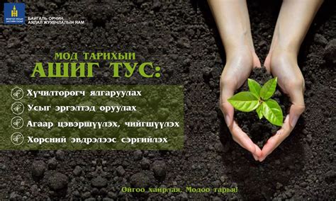 🌲МОД ТАРИХЫН АШИГ Байгаль орчин аялал жуулчлалын яам