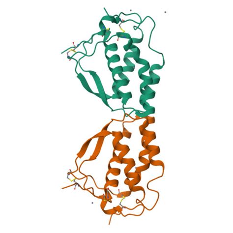 Rcsb Pdb 1ete Crystal Structure Of The Flt3 Ligand
