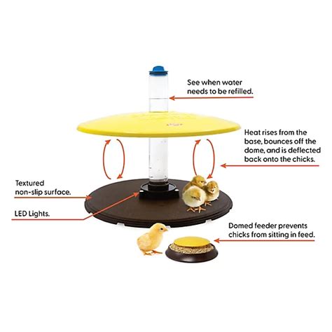 Cozy Products Cozy Chickens Chick Brooder Habitat With Water Tube