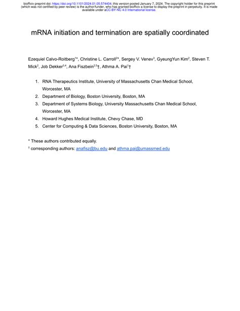 Pdf Mrna Initiation And Termination Are Spatially Coordinated