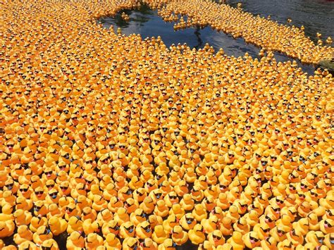 Chicago Supports Special Olympics With Duck Derby