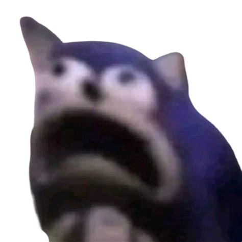 Sonicagony Discord Emoji