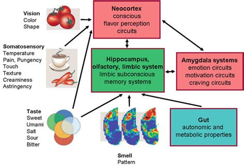 the evaluation system for food taste sensing odor perception are