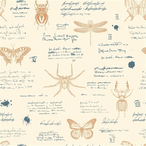 Premium Vector Formulas And Notes And Sketches Of Insects