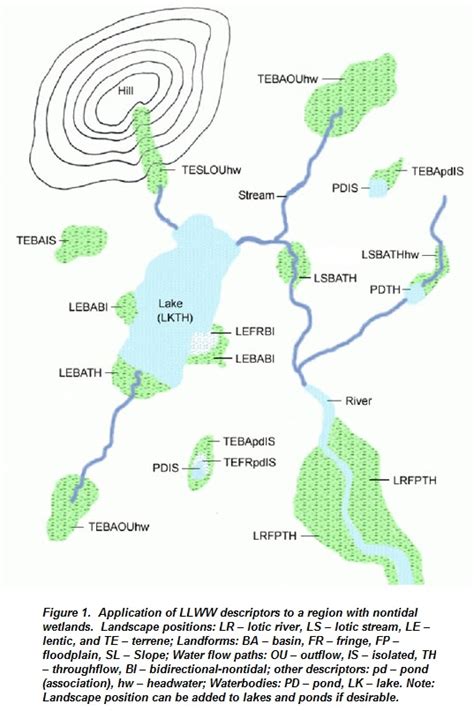 Llww Classification