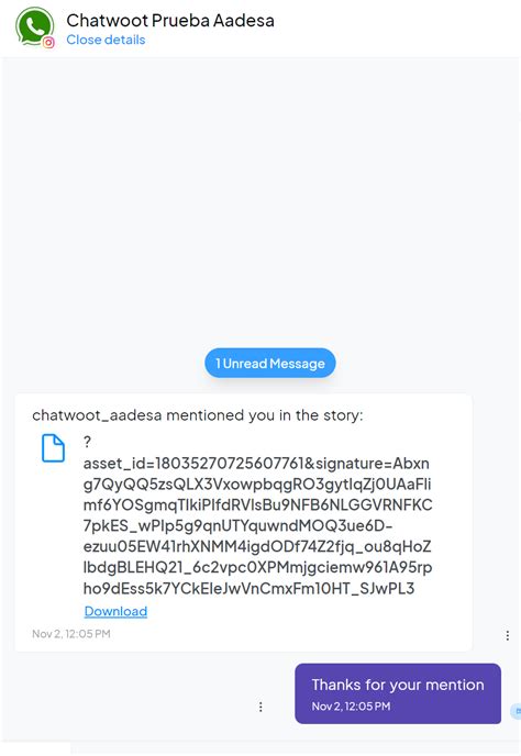 Instagram History Mention Image Not Refresh · Issue 8284 · Chatwoot