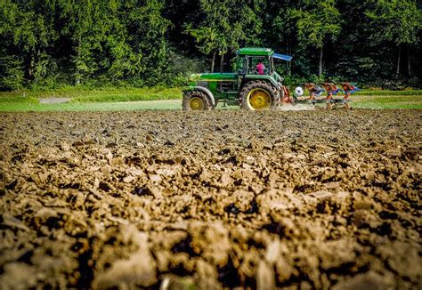 Mengenal Segudang Peranan Biologi dalam Bidang Pertanian dan Industri - SIAP UJIAN