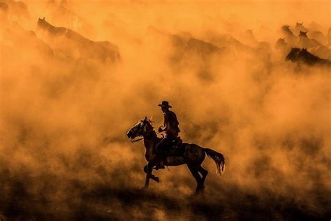 Изумительные снимки с фотоконкурса Sony World Photography Awards 2017