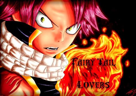 Fairy Tail Lovers