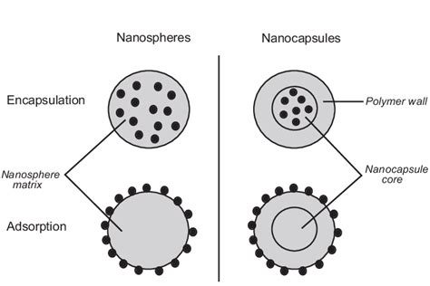 Schematic Diagram Of The Types Of Nanoparticles Produced From The