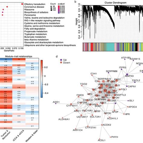 Clustering By Pretty Heatmaps And Pca A A Heatmap Hierarchical Download Scientific Diagram