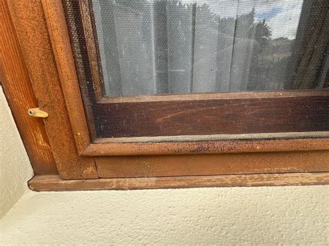 Timber Window Frames How To Restore An Bunnings Workshop Community