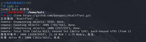 安装rsactftool工具超详细！！！ Csdn博客