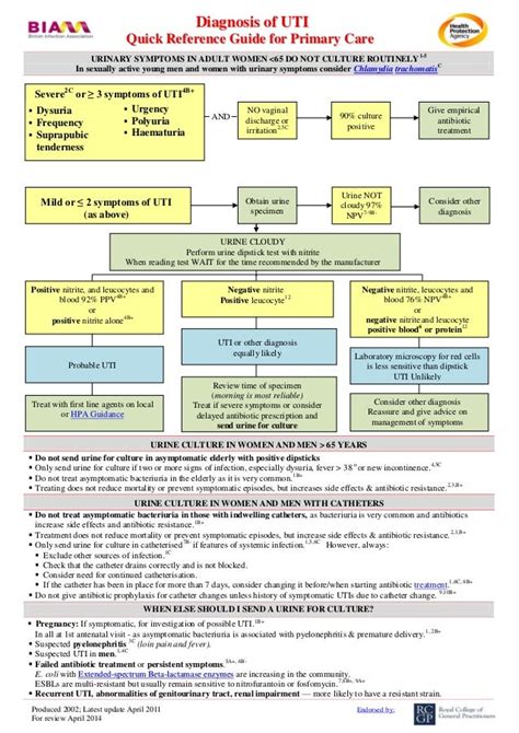 Diiagnosiis Of Uti Quiick Refference Guiide Ffor Priimary Care
