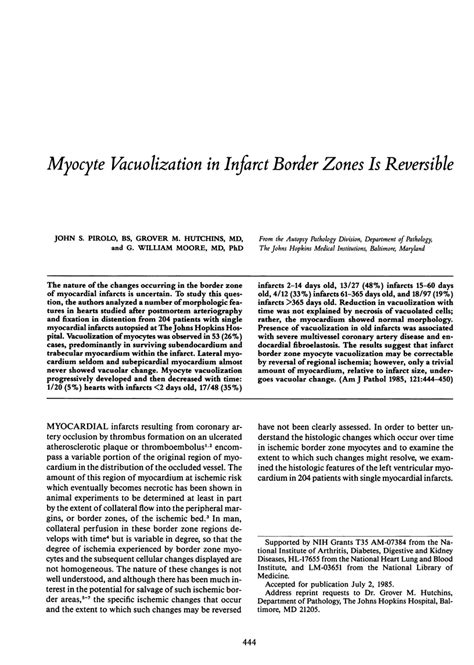 Myocyte Vacuolization In Infarct Border Zones Is Reversible Pmc