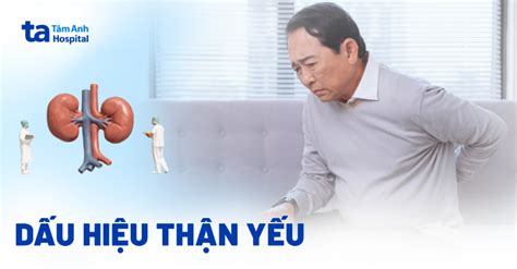 Bệnh Thận Là Gì 9 Dấu Hiệu Cảnh Báo Và Các Bệnh Về Thận Thường Gặp