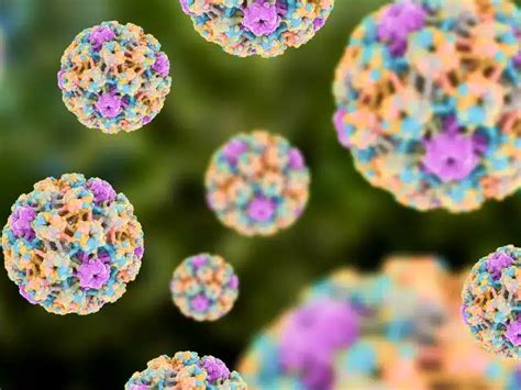 Hpv Fiyat Dr Esra DemİryÜzer