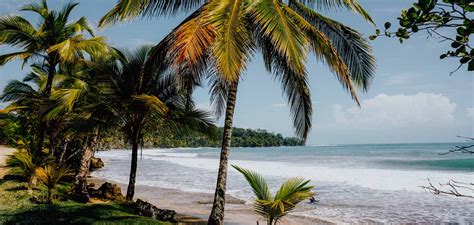 Bocas Del Toro In Panama Bezienswaardigheden En Tips
