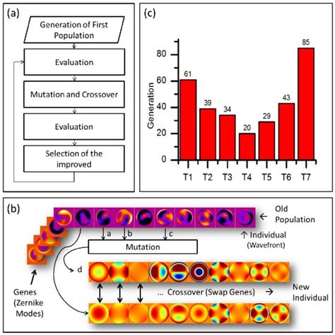 Pdf Adaptive Optics Stochastic Optical Reconstruction Microscopy Ao