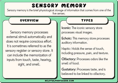 Echoic Memory
