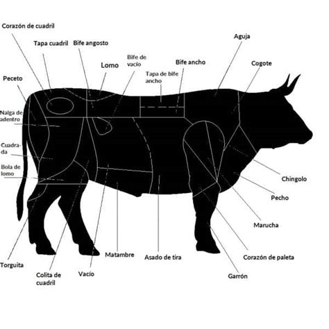 Cortes De Carne ¿cuáles Son Y Para Que Se Usan