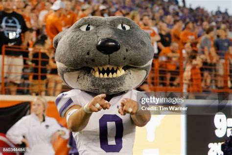 Willie The Wildcat Photos And Premium High Res Pictures Getty Images