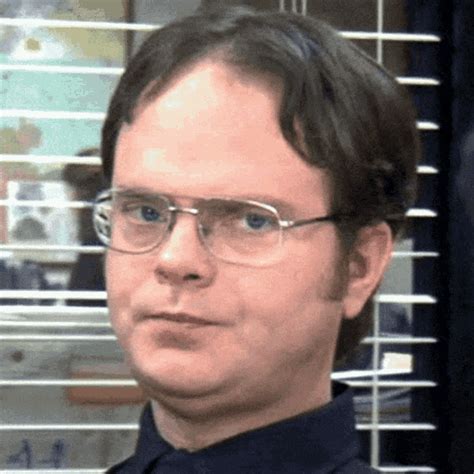 The Office Dwight Schrute False 