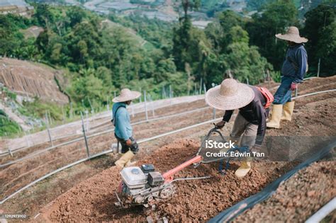 아시아 남성 농부 는 언덕에 손 트랙터와 토양 필드를 쟁기 계단식 경작지에 대한 스톡 사진 및 기타 이미지 계단식 경작지 농업 밀기 Istock