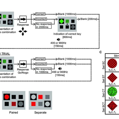 Experimental Paradigm For Experiment 1 A Schematic Procedure For