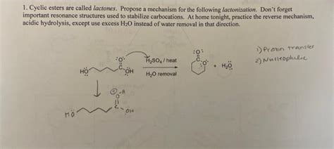 Solved 1 Cyclic Esters Are Called Lactones Propose A