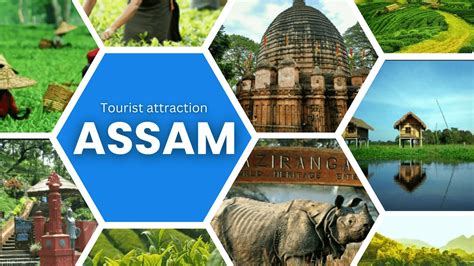 Thinking Traveling To Assam These Are 6 Amazing Locations To Visit