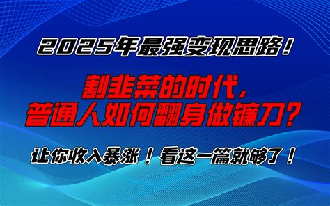 2025年最强变现思路让你收入暴涨看这一篇就够了 资源之家