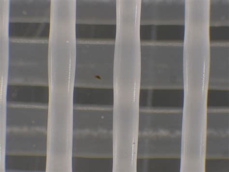 Segmentation Object Detection Model By Vumo2003