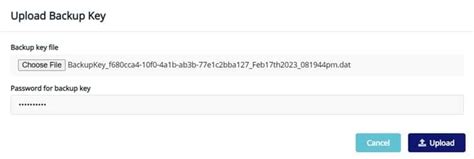 Ciphertrust Manager Backup Error Encryption Consulting