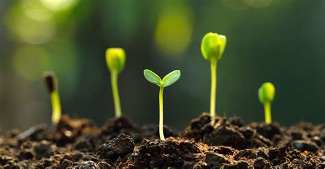 Dominick Procopio On Linkedin Ace2 Branded