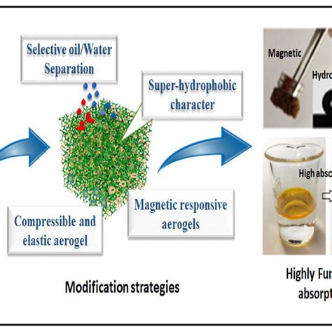 Illustration Of Commonly Used Modification Strategies For Nanocellulose
