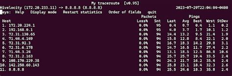 Mtr Report How To Generate In Linux And Windows Hivelocity Hosting