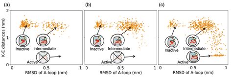 7 A The Simulation Data Of Src Kinase Using A Single Trajectory