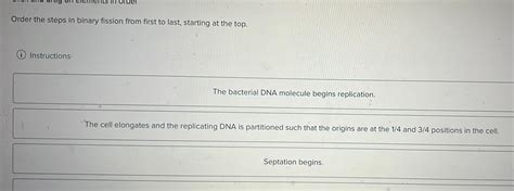 Answered Order The Steps In Binary Fission From First To Last Kunduz