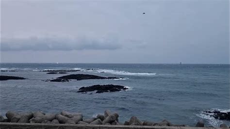 제주 모슬포의 파도와 바람 소리 Youtube