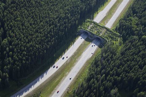 Saw These Over The Autobahn In Germany Wonderful Idea Natural