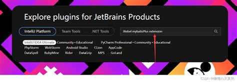 idea下载插件的两种方式 idea插件下载 csdn博客