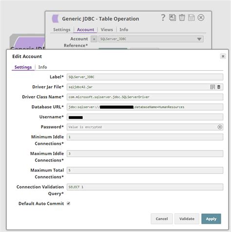Generic Jdbc Table Operation Custom Developed Snap Iwconnect